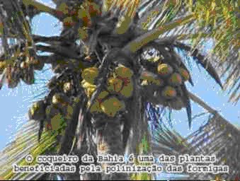 Trabalho de Biologia/Turma 309